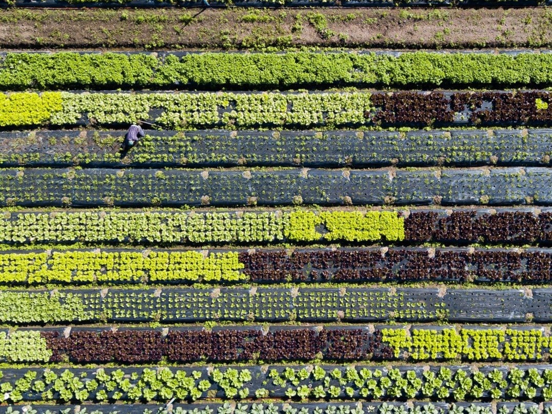 ERM case study - Templafy